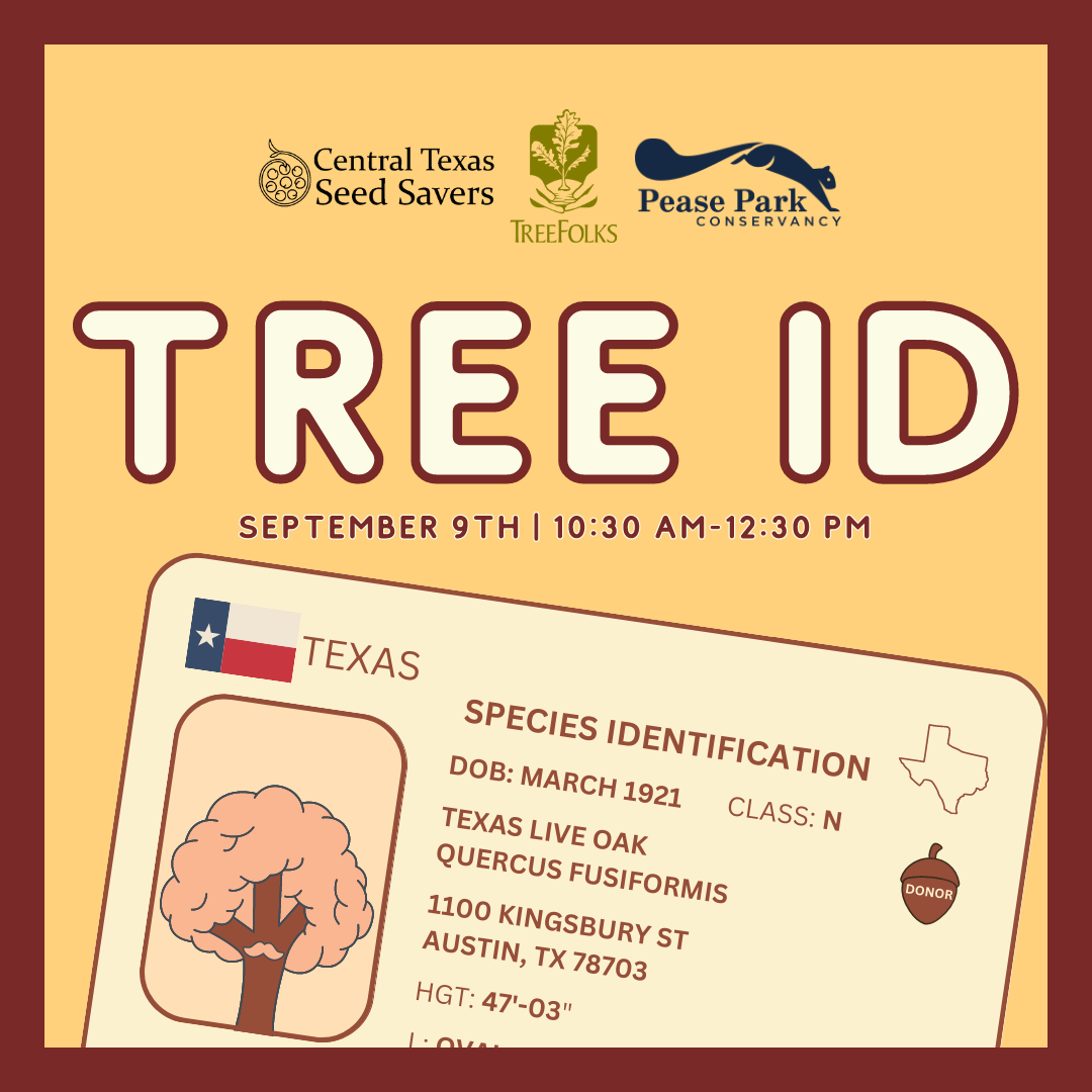 Tree ID Lesson — Pease Park Conservancy