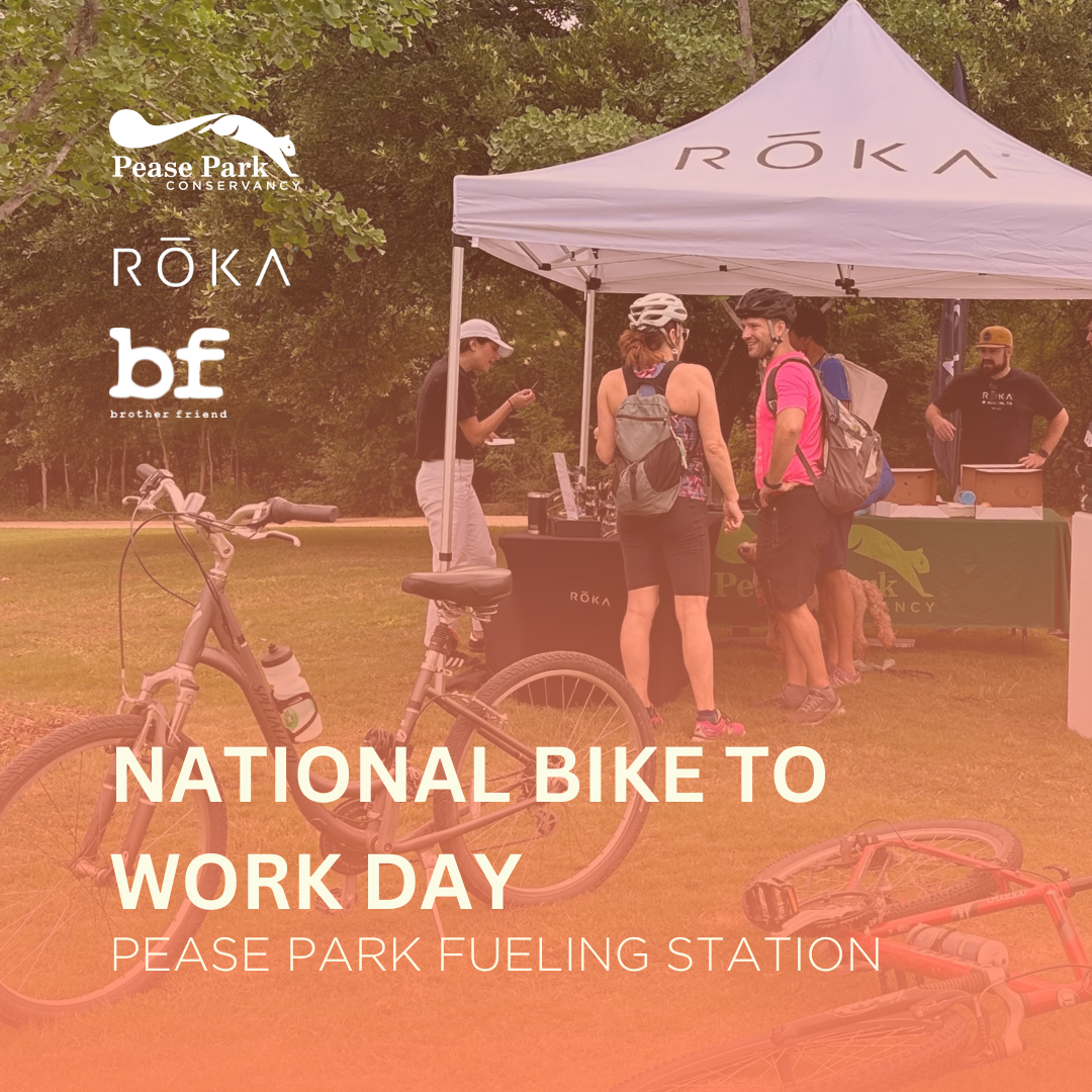 Pease Park Conservancy