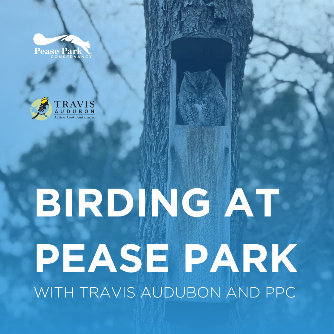 Upcoming Events — Pease Park Conservancy