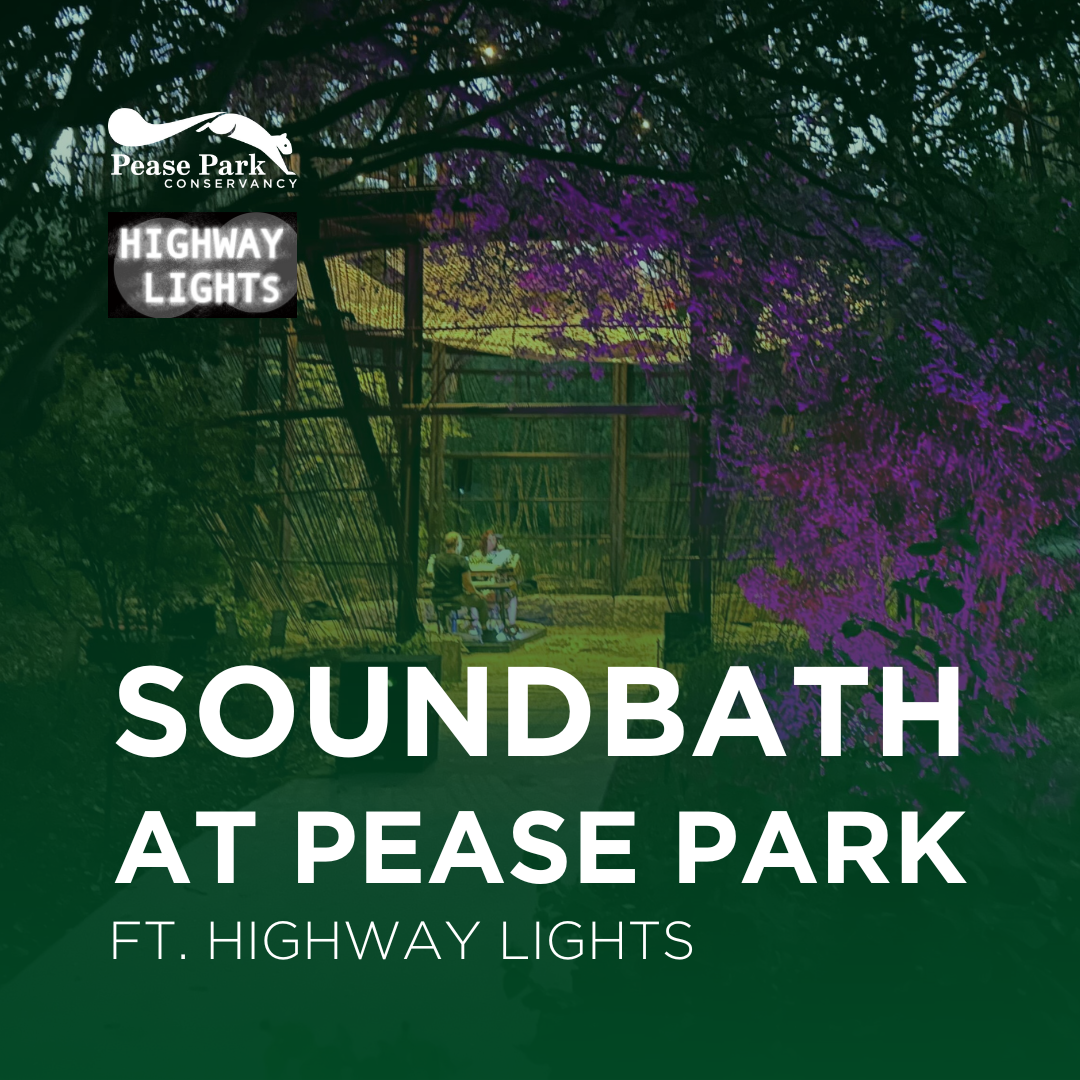 Upcoming Events — Pease Park Conservancy