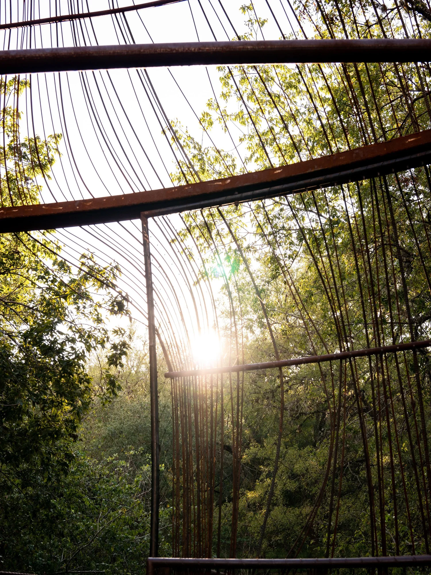 Art in the Park — Pease Park Conservancy