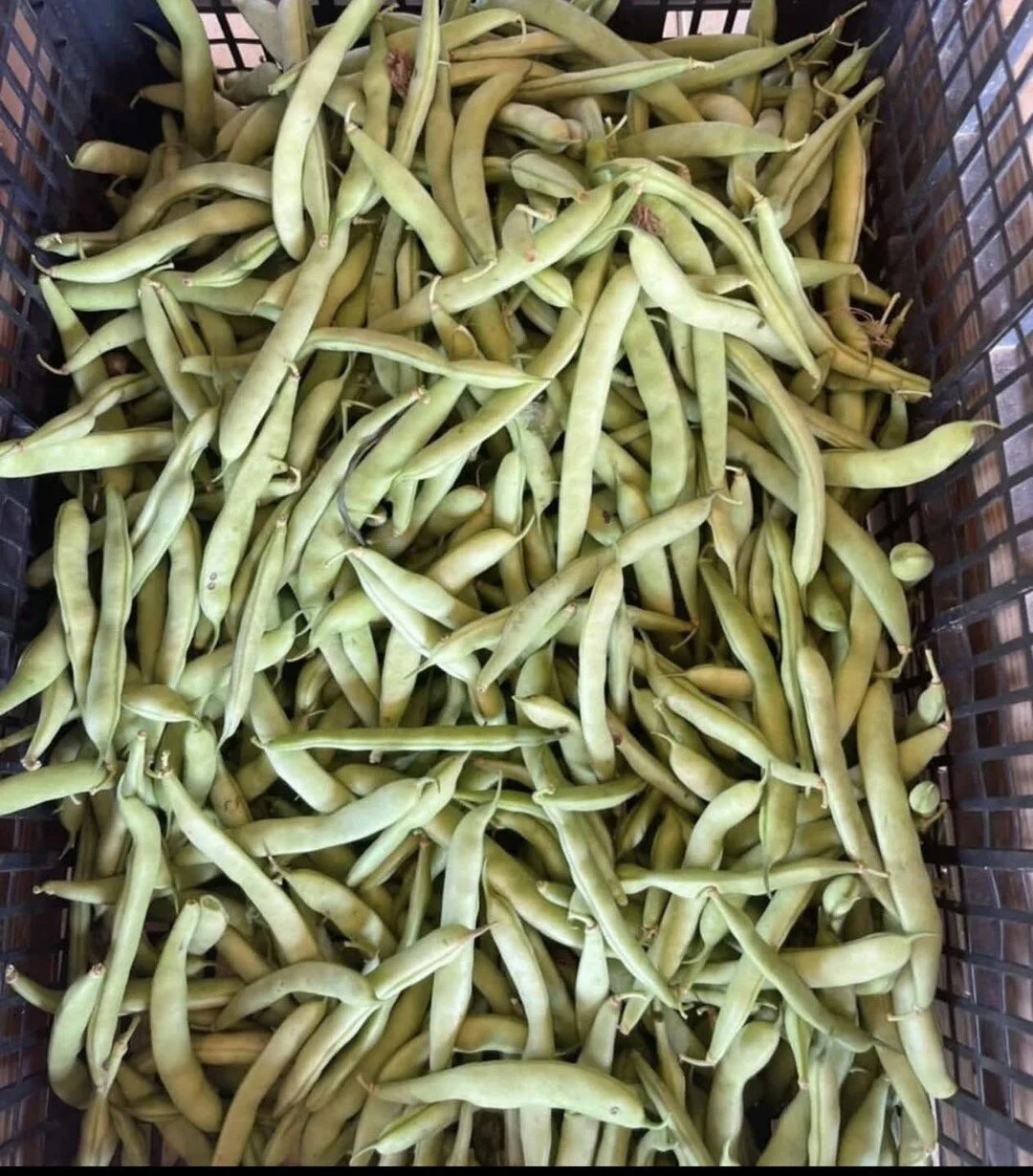 Hunter Farms Family Produce