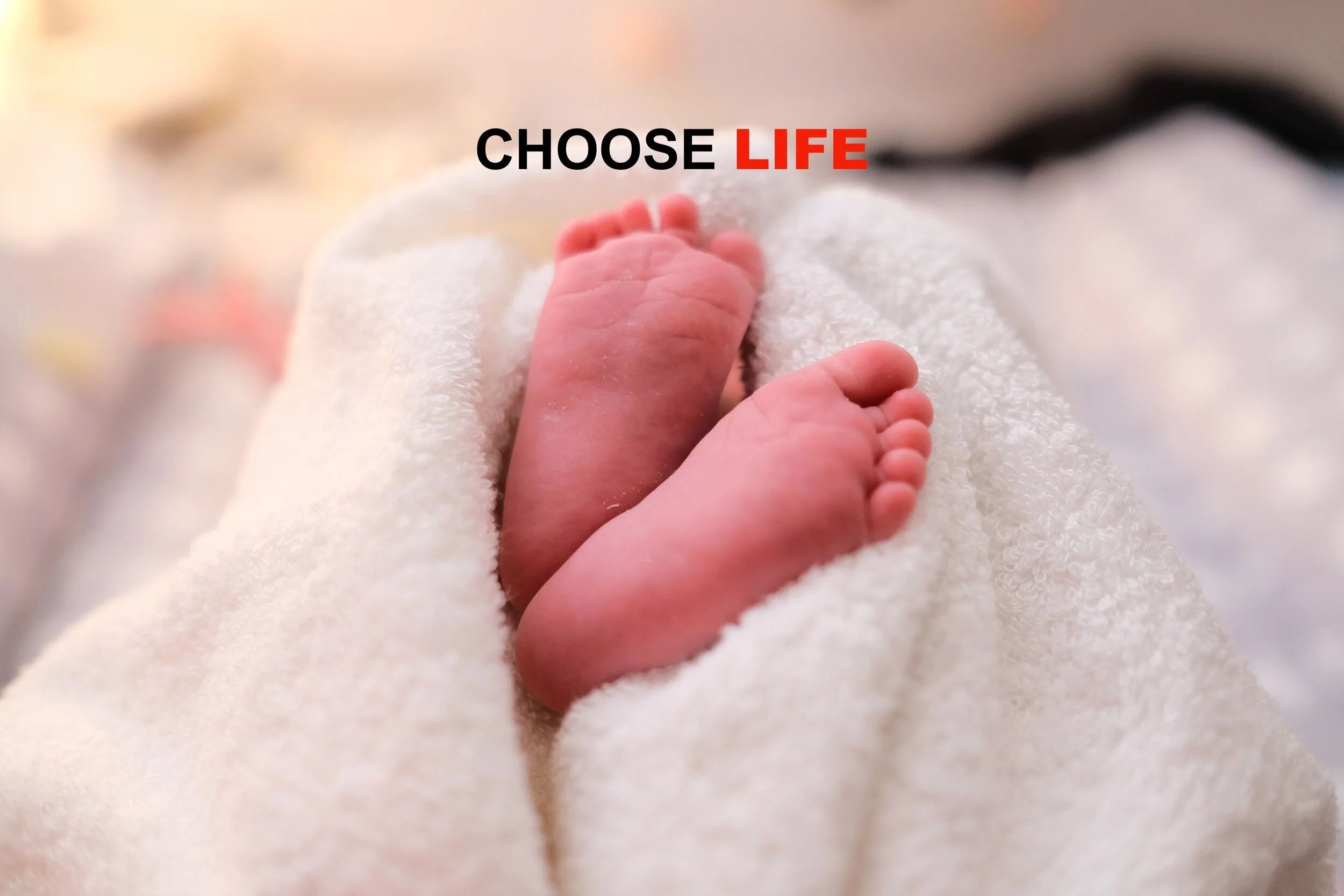 Saskatchewan Prolife Association