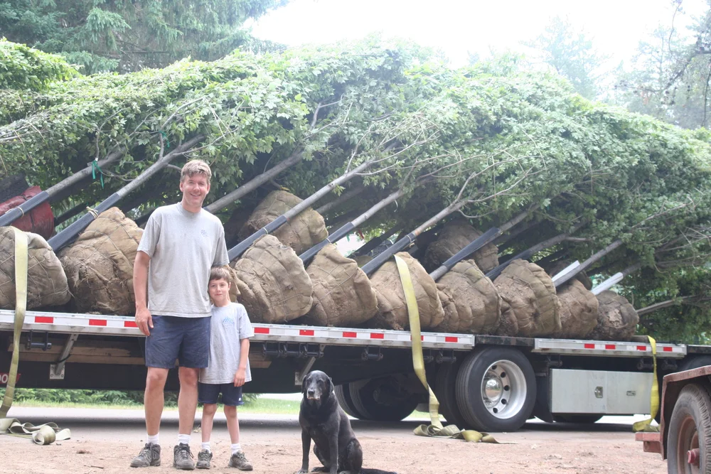 Services — JJ's Acres