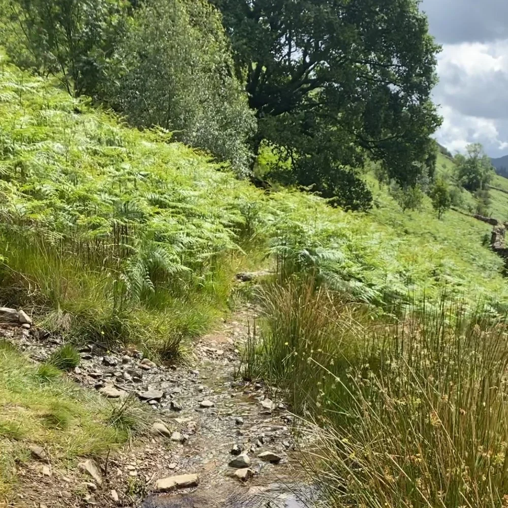 Thirlmere Infinity Pool - How to find it, where to park, directions ...