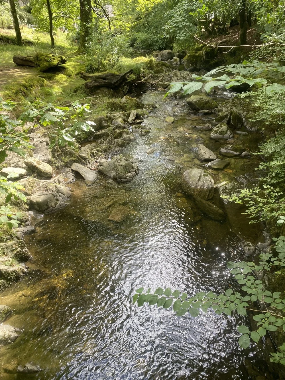 Rydal Slab Infinity Pool (Including Parking & GPX File) — ONE LAKE DISTRICT