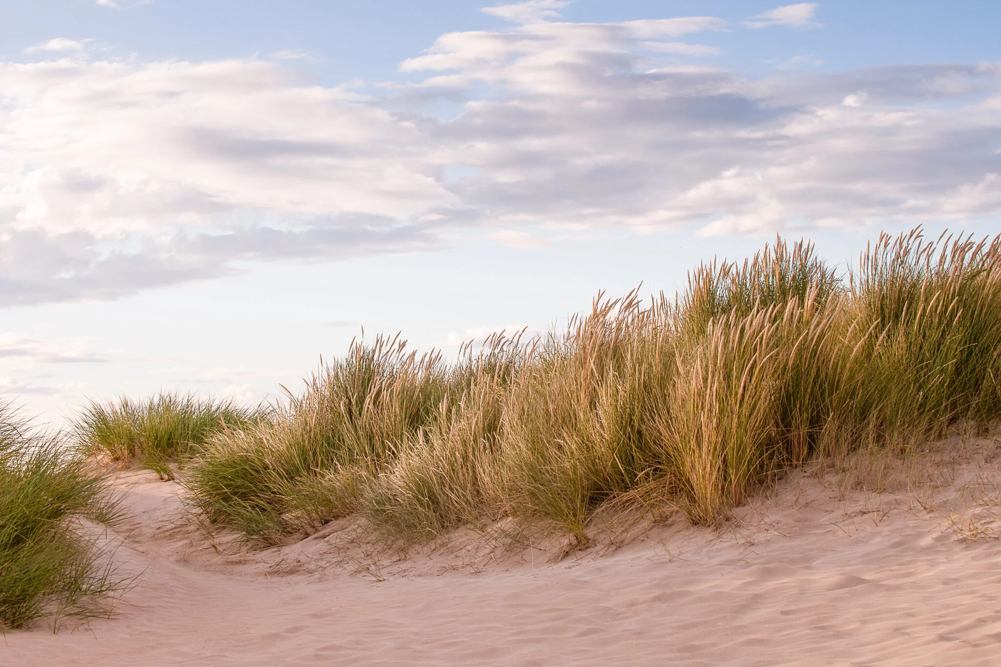 Landscape — Nick Reader Photography