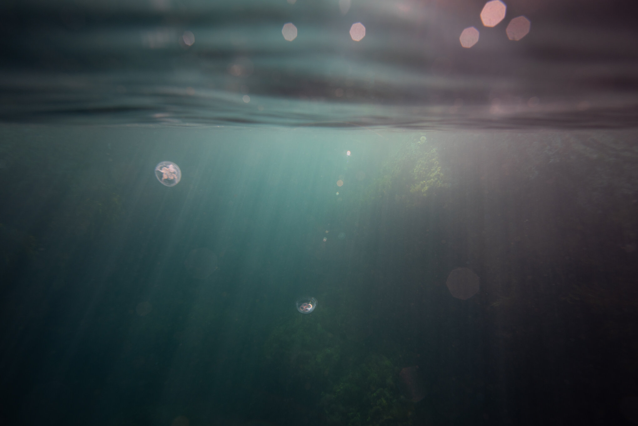 Landscape — Nick Reader Photography