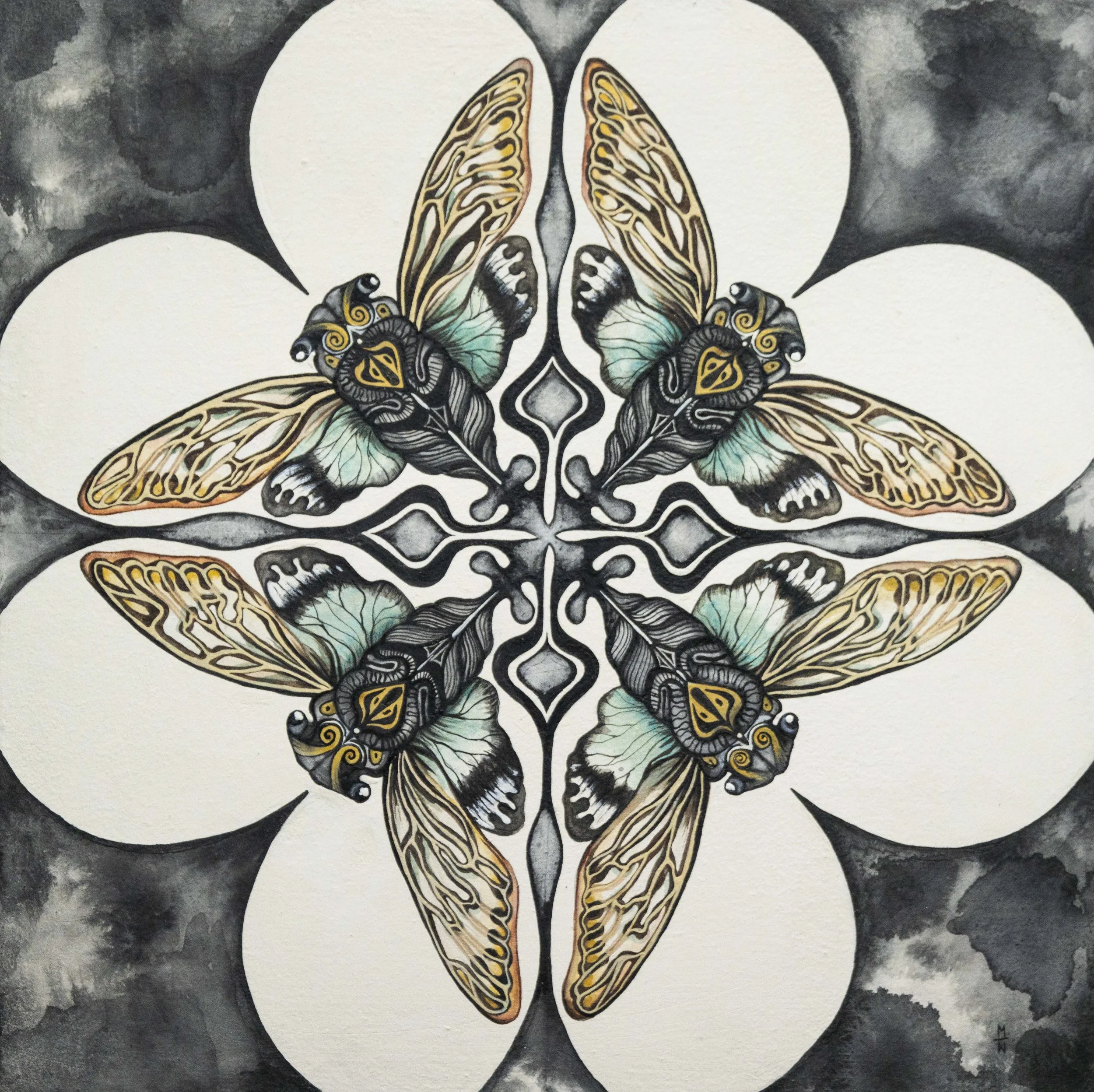 2024 — MOLLY WOLFE