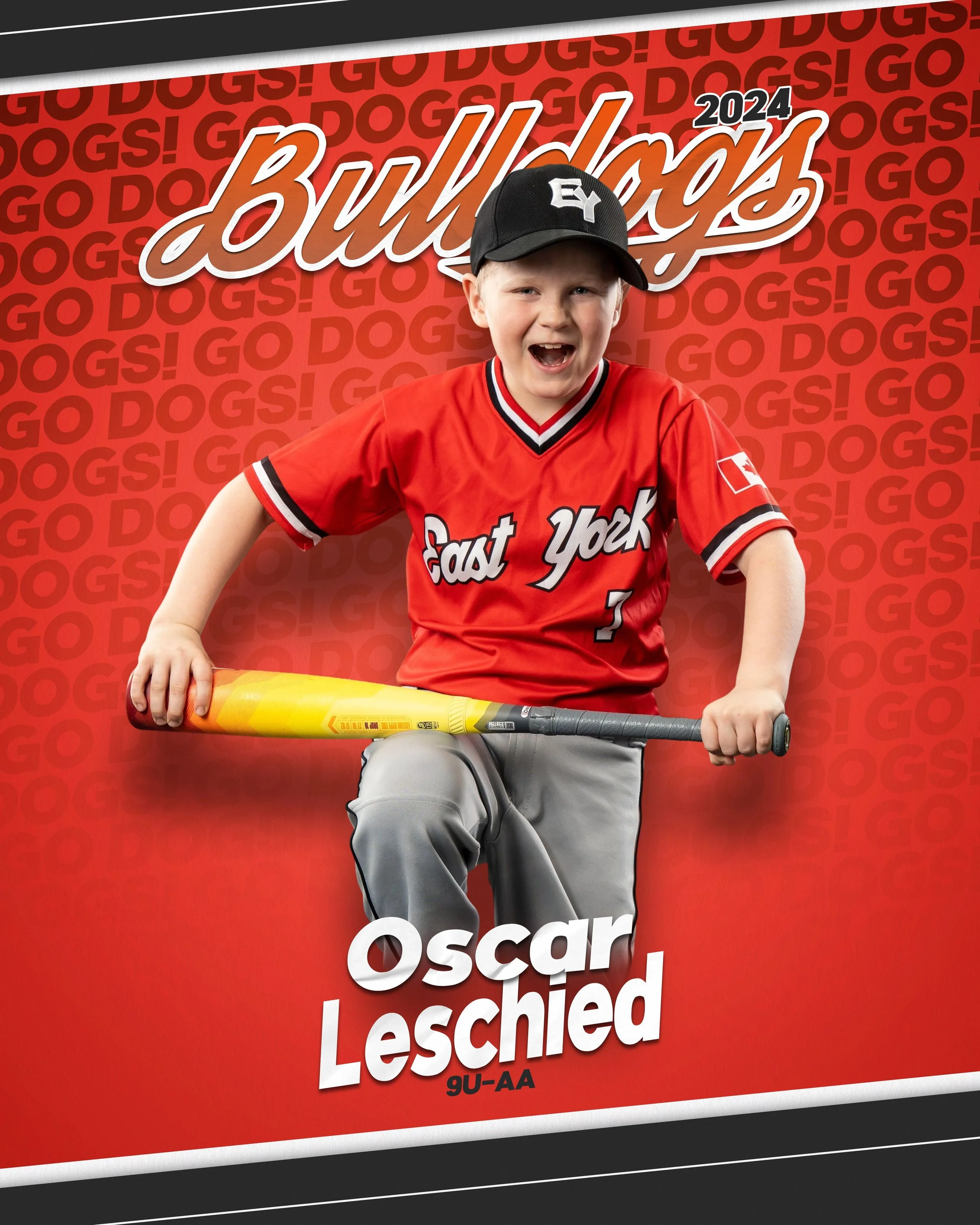 Baseball Sponsor Banners — GTA Sports Photography Baseball Sponsor Banners — GTA Sports Photography