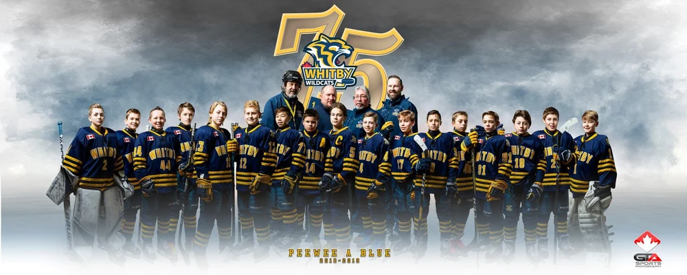 Sports Team Sponsor Banners — GTA Sports Photography