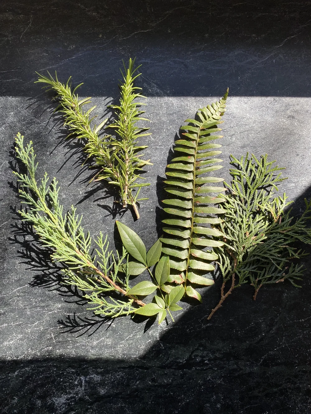 Stamped Clay Coasters [SCULPTURE] — Coyote Central