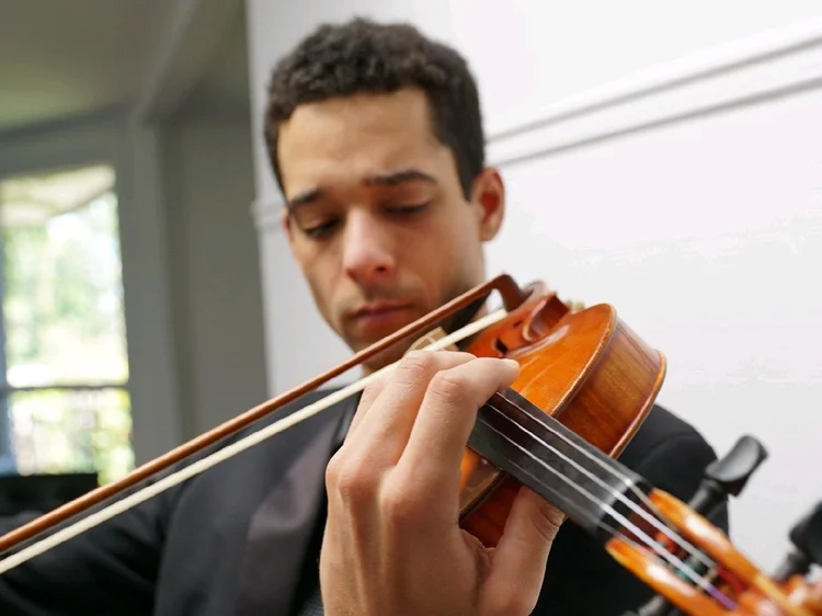 Our Musicians — Allegra Chamber Music