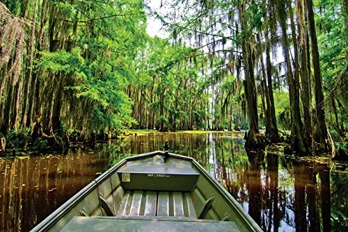 Cajun Country — Outwriter Books & Travel
