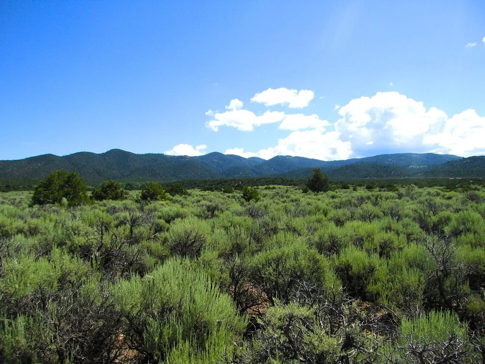 Raw Land Listings — United Land Co.