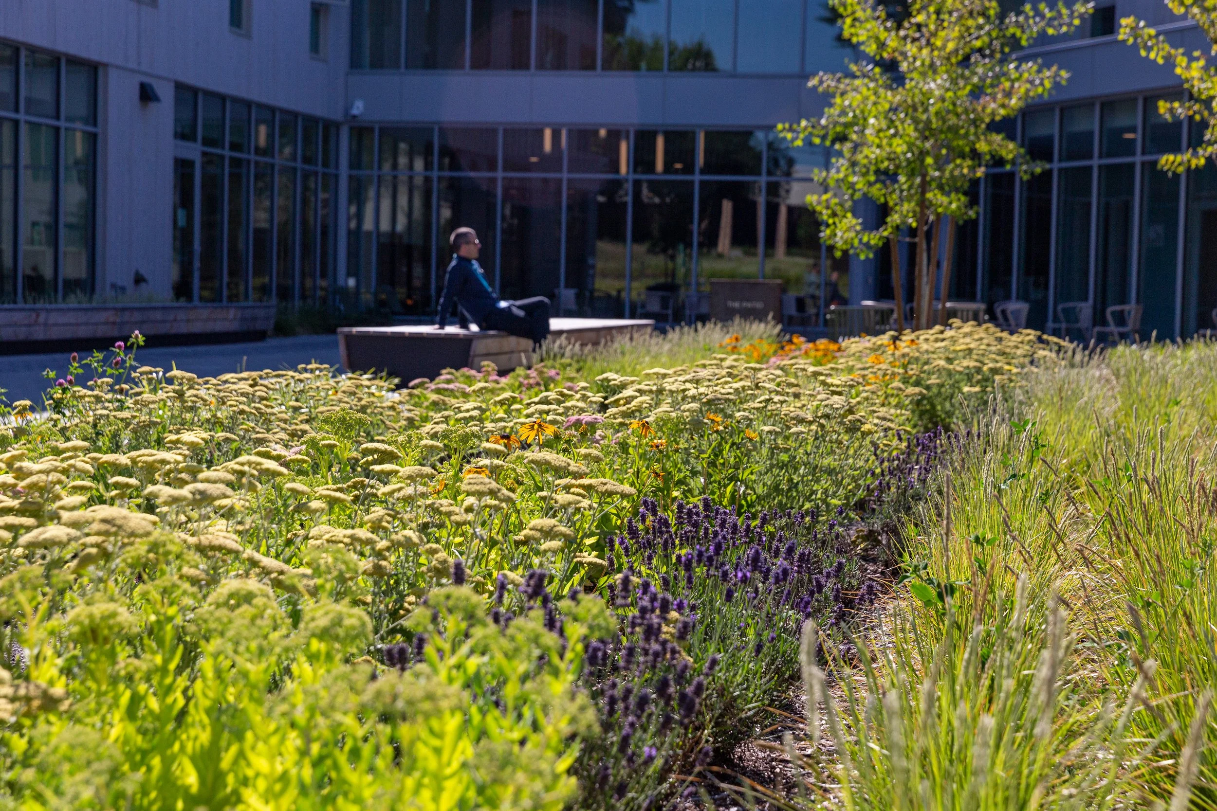 Fora Health — GROUND WORKSHOP