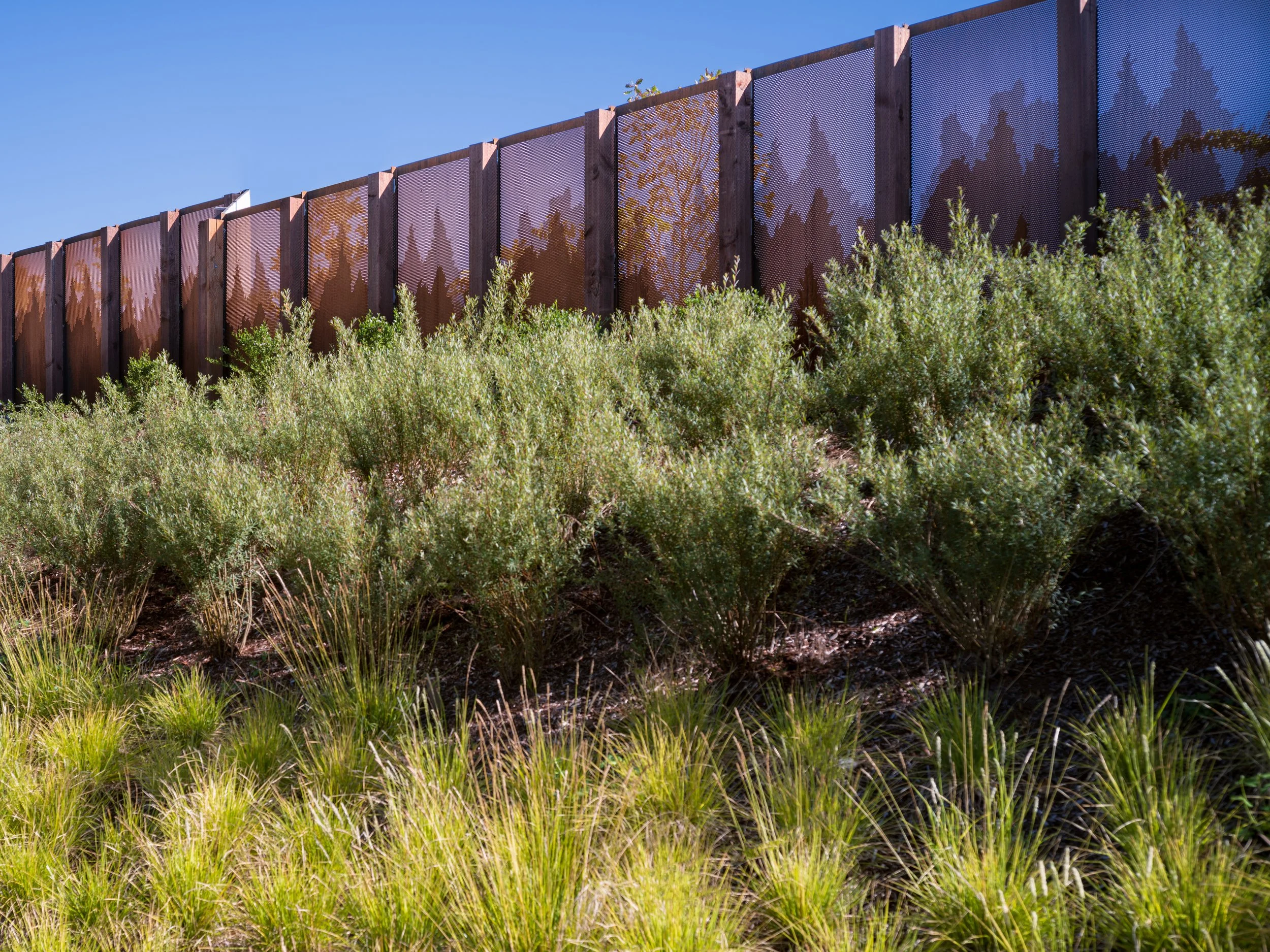 Fora Health — GROUND WORKSHOP