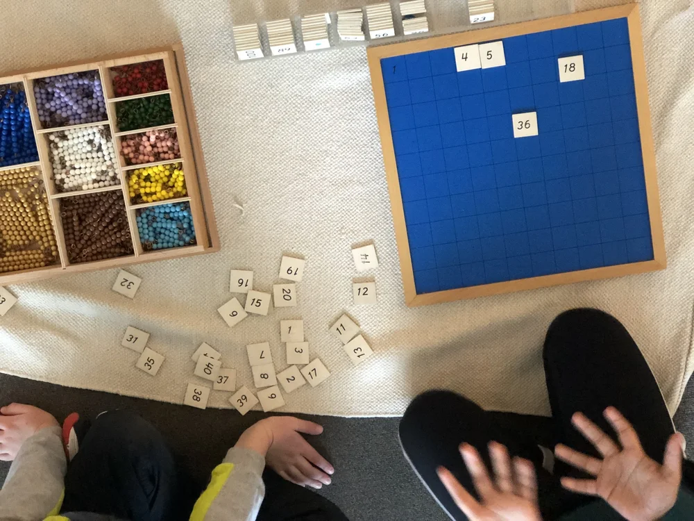 Testing and Assessment in the Montessori Classroom — Missy Montessori