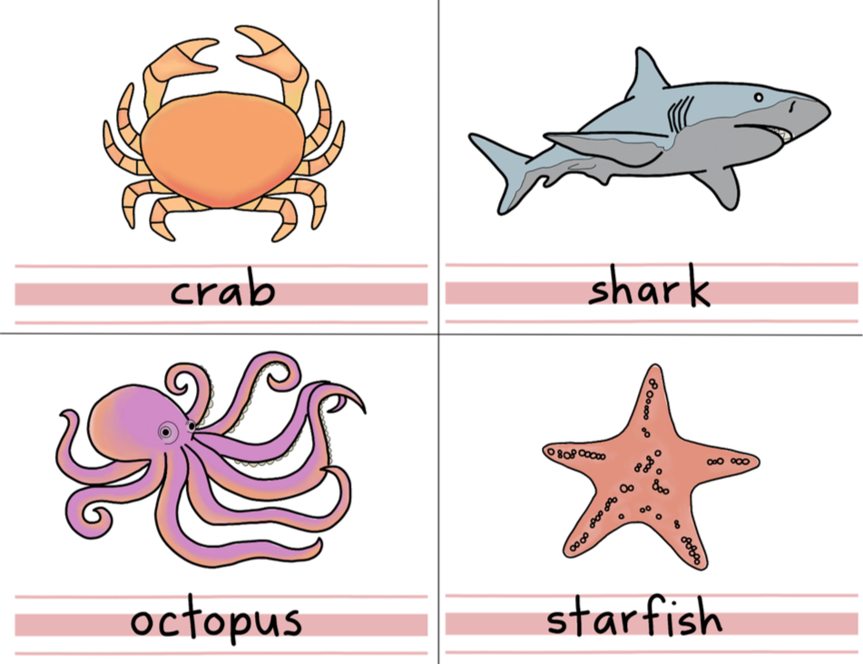 5 Ocean Labeling — Missy Montessori