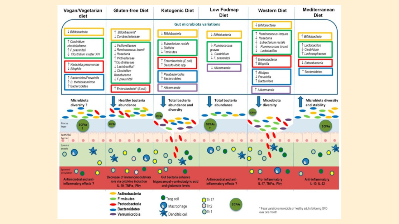 How Does Your Gut Microbiome Play a Role in 4 Common Chronic Diseases ...