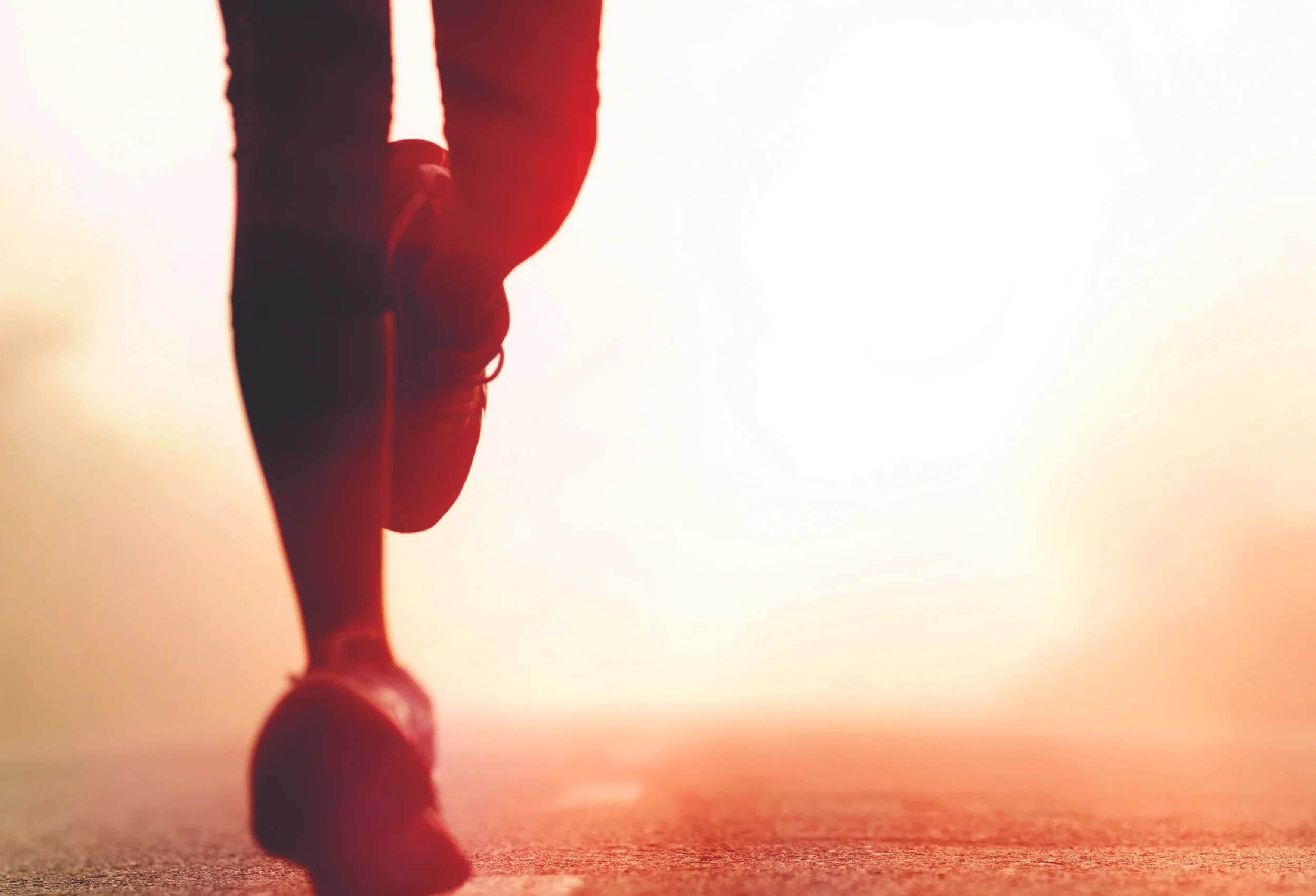 Prokinetics Australia