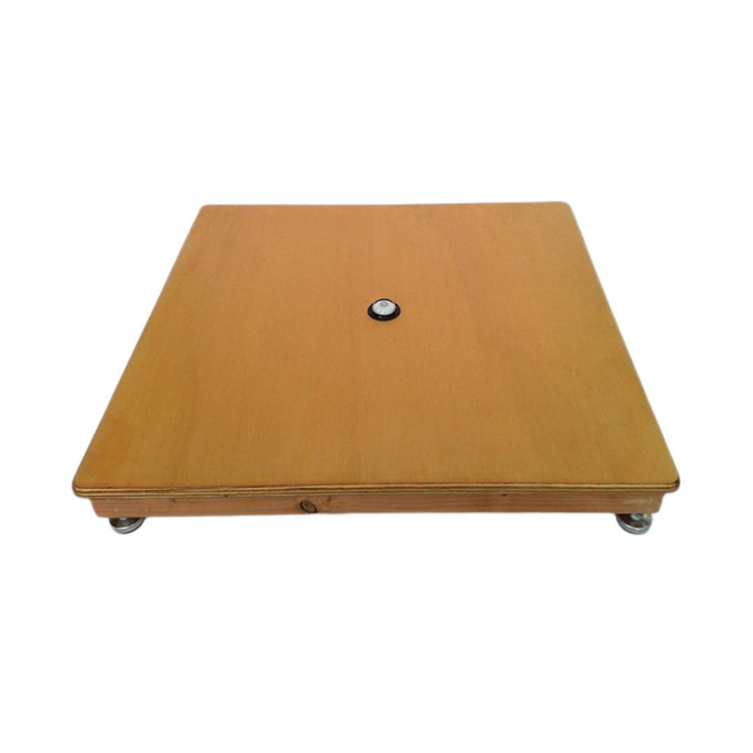 Posture Diagnosis Platform — Prokinetics Australia