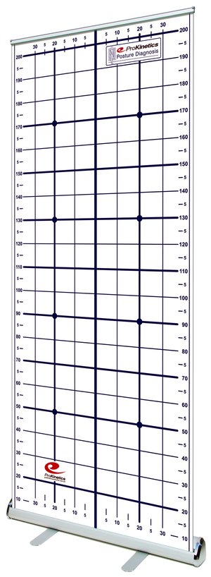 Posture Grids — Prokinetics Australia
