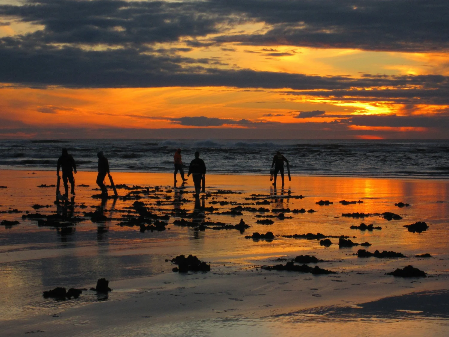 Best Oyster and Clam Beaches in Washington — Washington State Shellfish ...