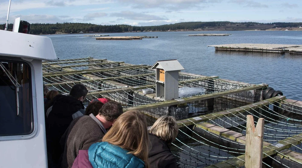 Penn Cove's Musselfest — Washington State Shellfish Trail