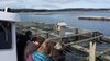 Penn Cove's Musselfest — Washington State Shellfish Trail