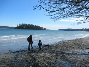 Best Oyster and Clam Beaches in Washington — Washington State Shellfish ...