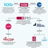 ESG Frameworks and Standards