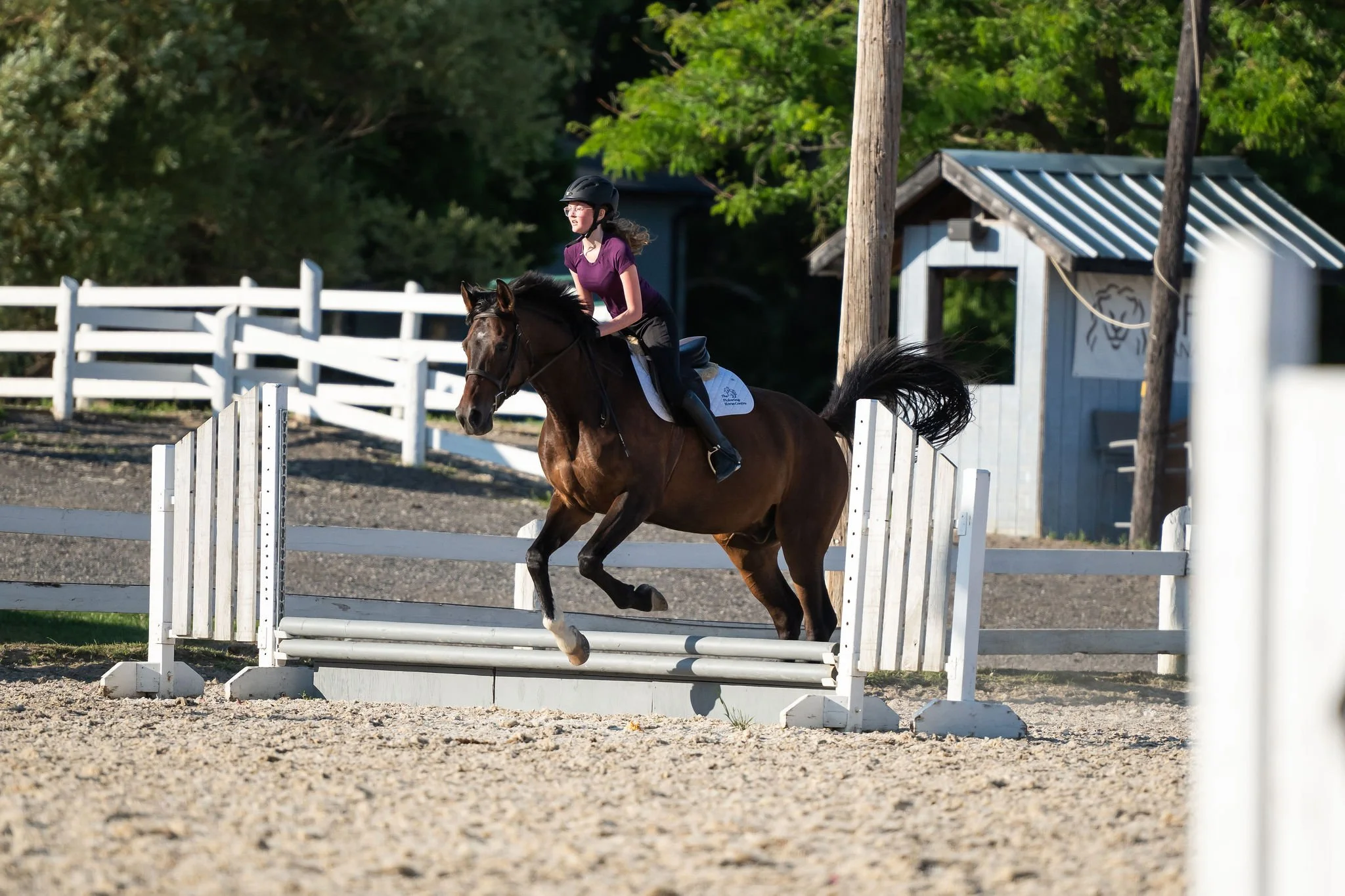 EC Rider Level Testing | Equestrian Canada Certification at Pickering ...