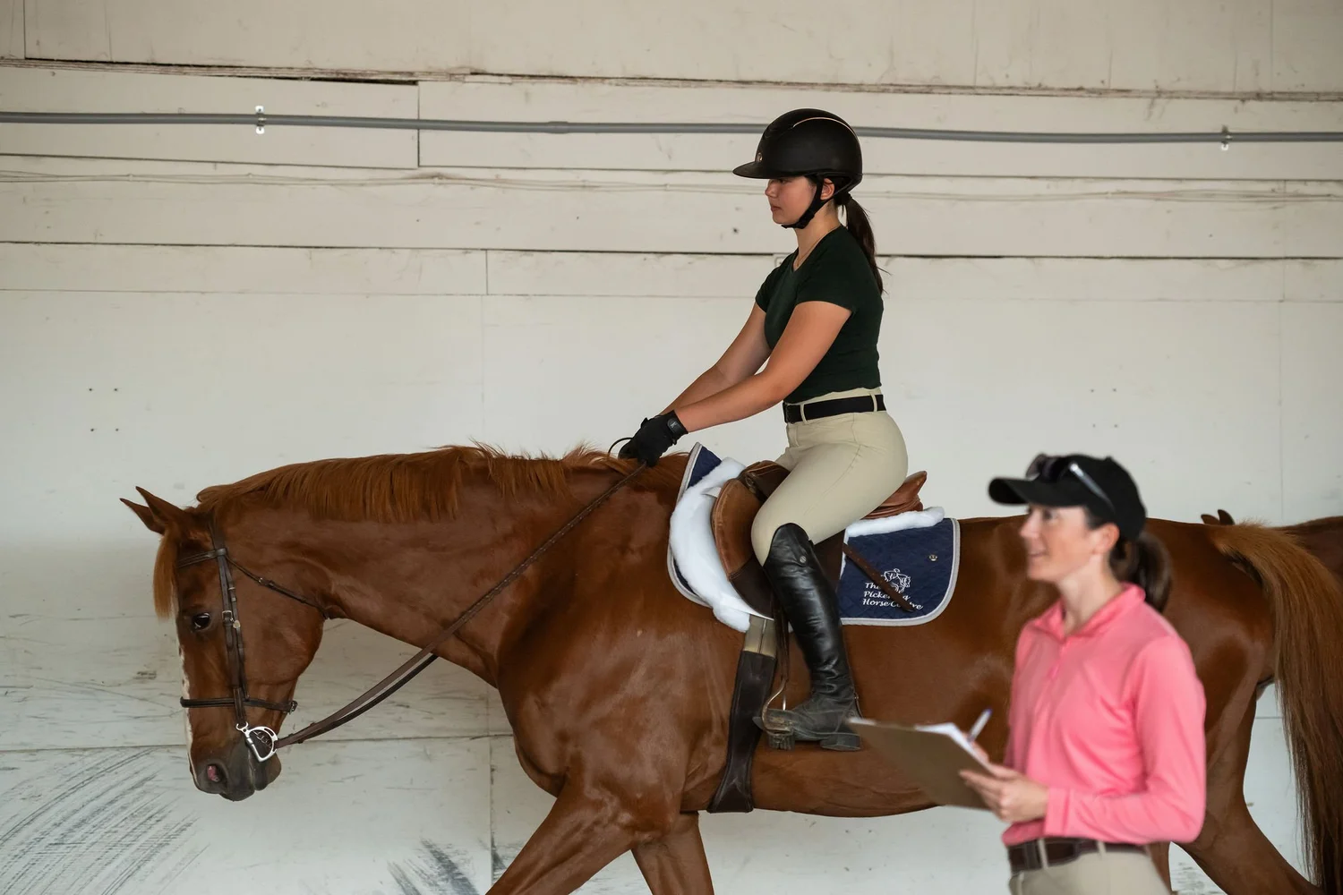 EC Rider Level Testing | Equestrian Canada Certification at Pickering ...