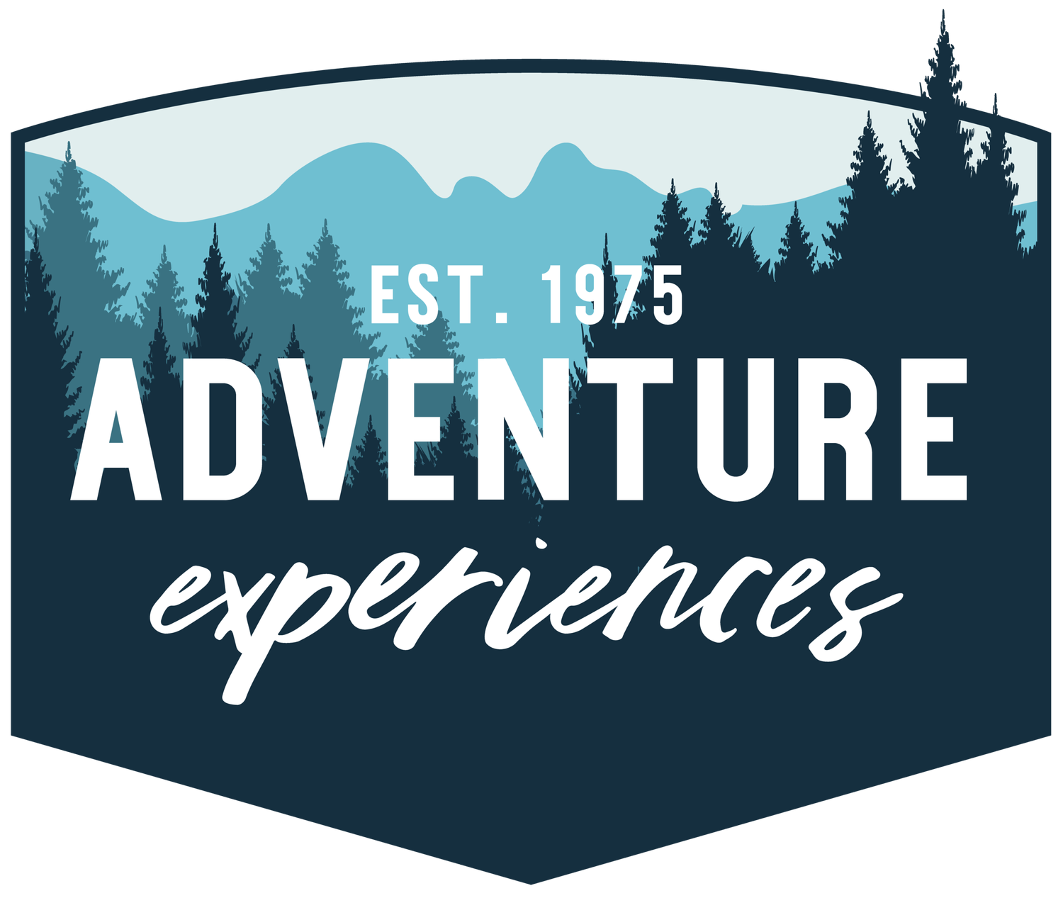 Adventure Experiences: A Full Service Challenge Course Company