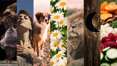 The Seven Signs of Life — Dave DeSelm Ministries