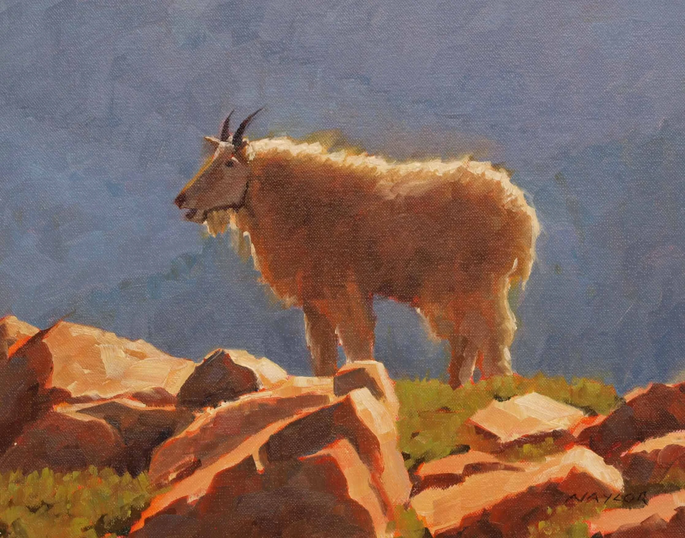 Rodgers Naylor — Calloway Fine Art & Consulting