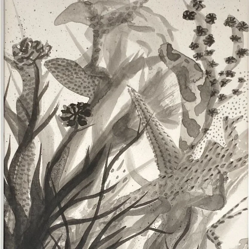 Fine Art Gallery in Georgetown, DC. Washington DC Contemporary Art ...