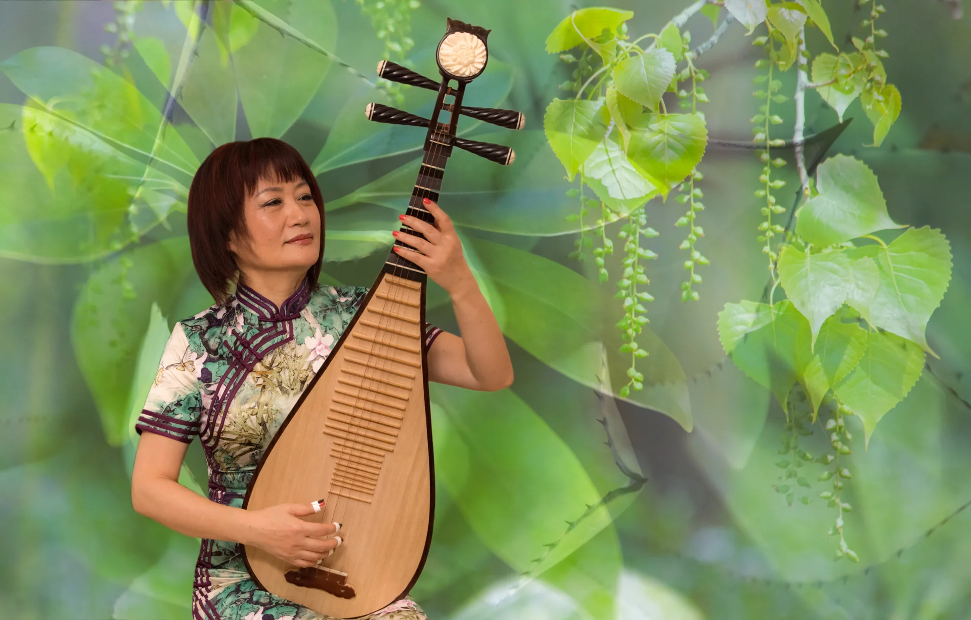 Pipa — Ming Ke Pipa World