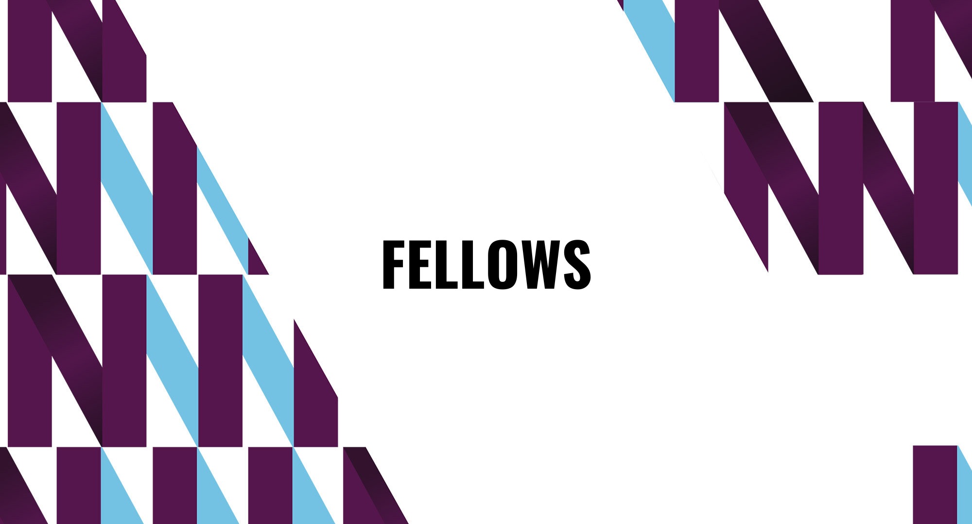Fellows — National Institute on Ageing