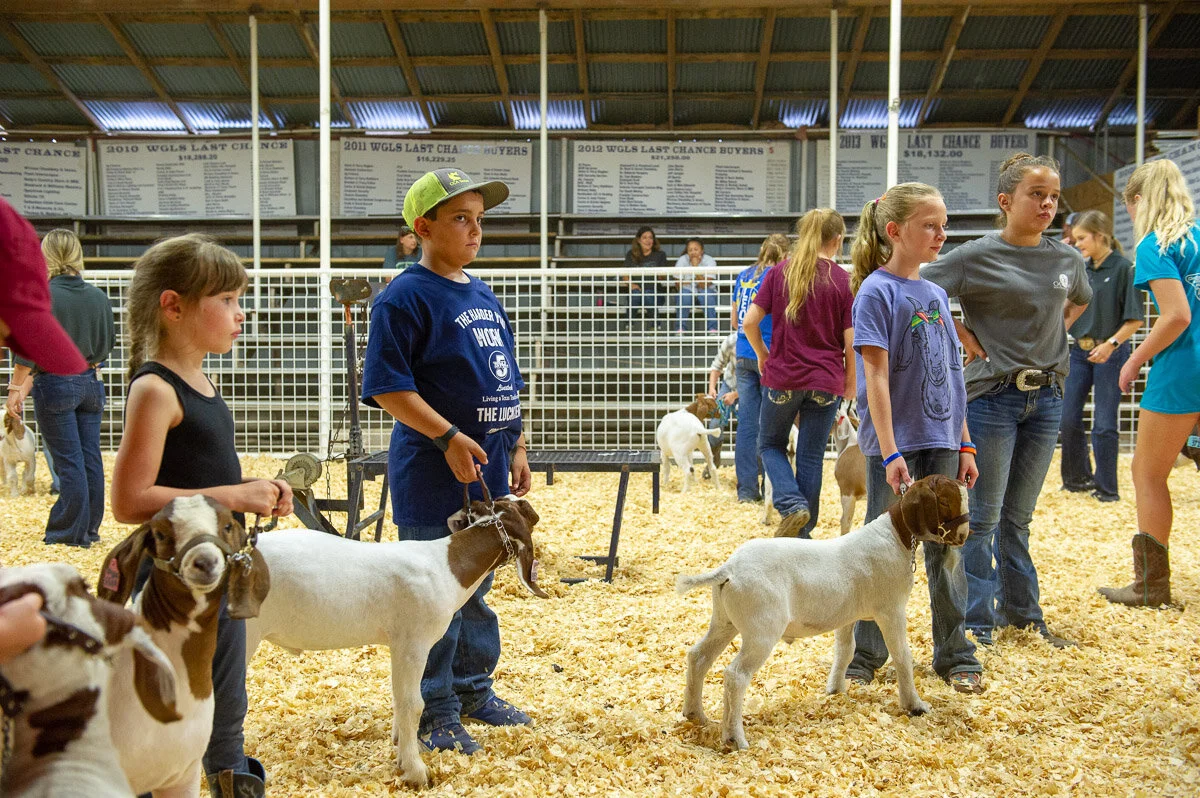 Register Here — MJL5 Livestock