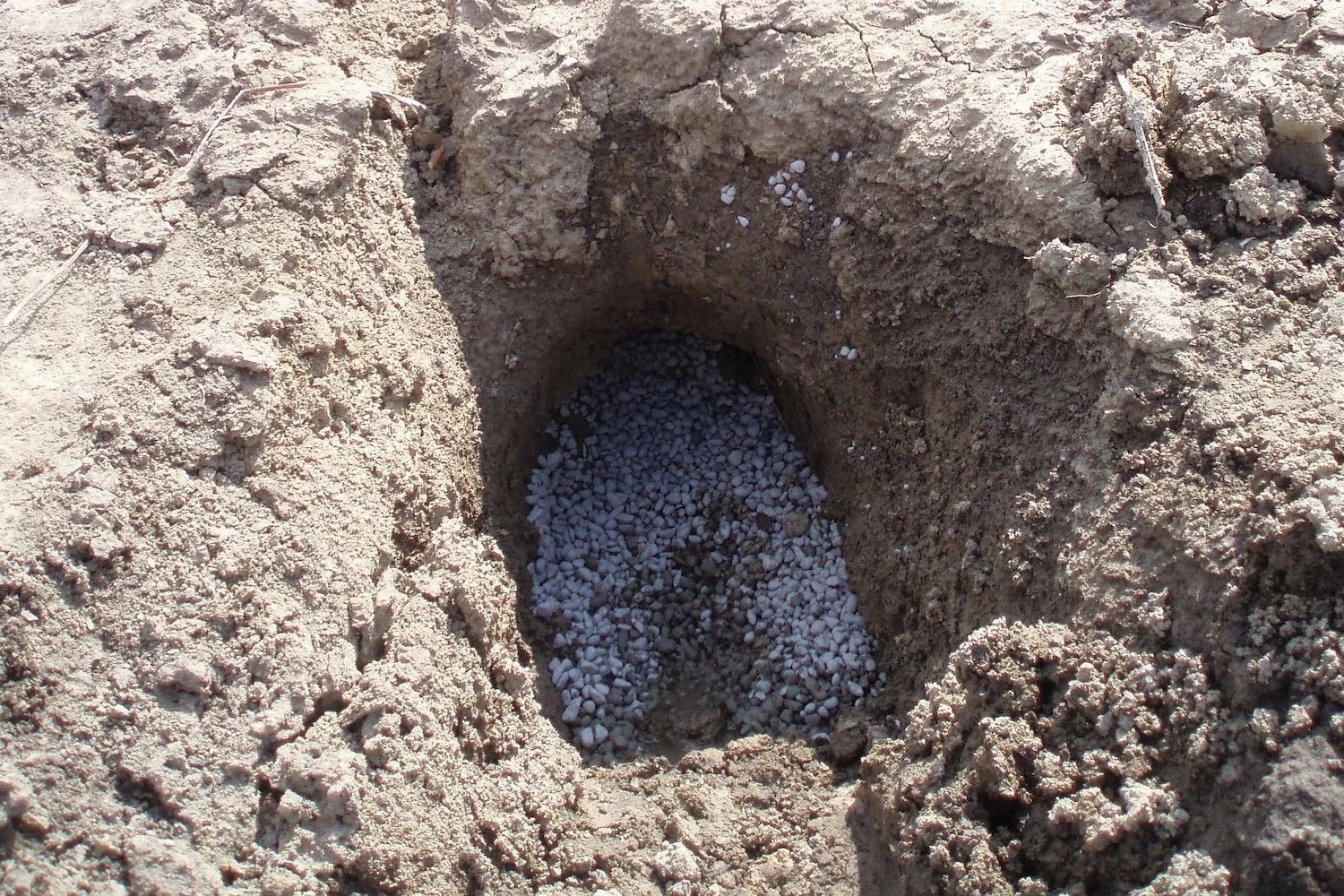 Plugging Animal Burrows — AquaBlok: Geotechnical Sealing Solutions