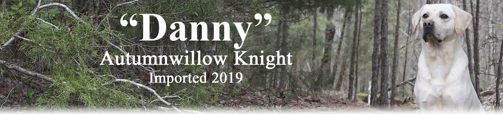 Danny — Wildrose Kennels