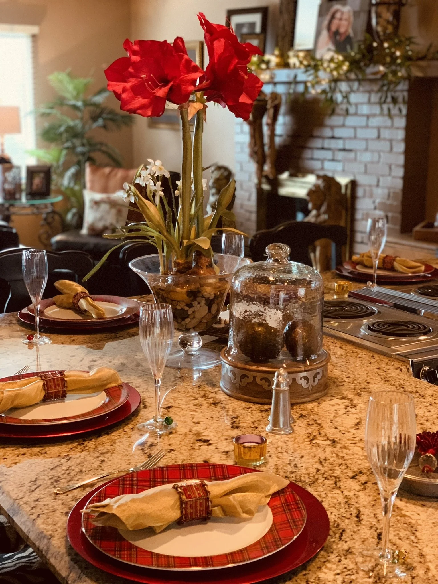 Holiday Design Portfolio — Abel to Dream