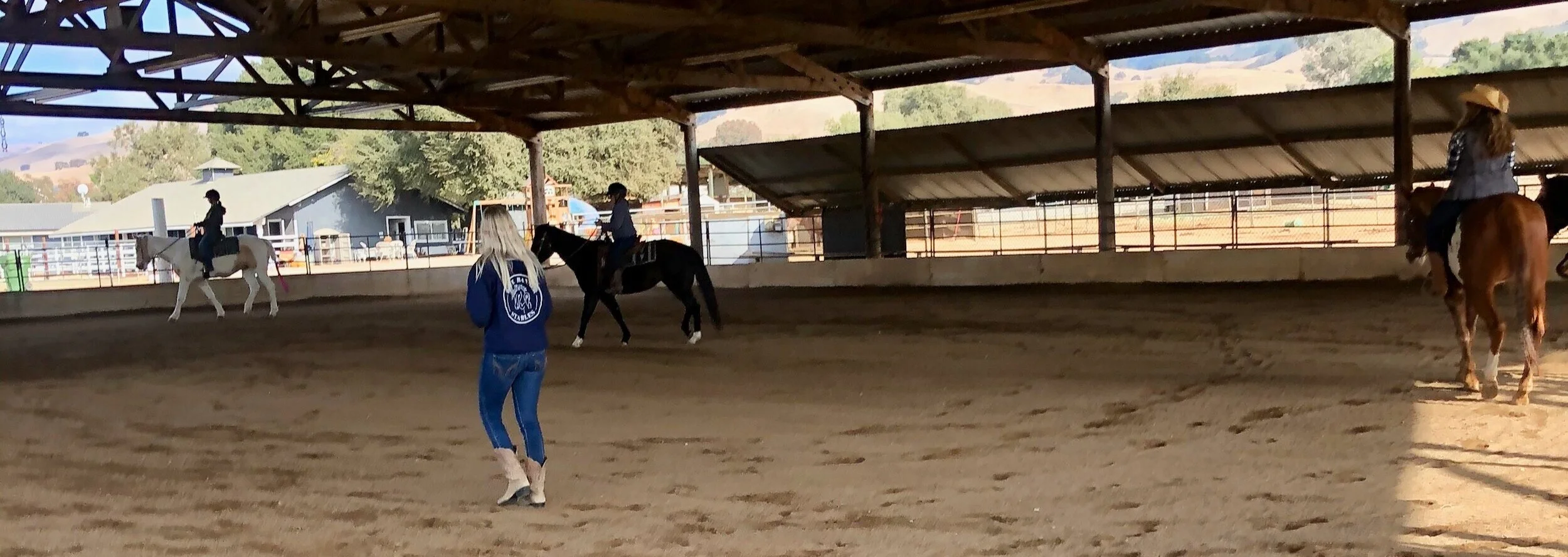 Lessons/Training — Blue Banner Stables