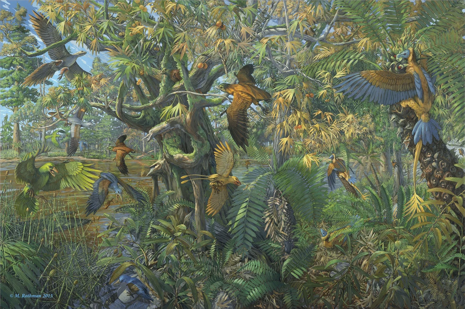 Traditional (Non-Digital) Fossil Plant reconstructions — Rothman ...