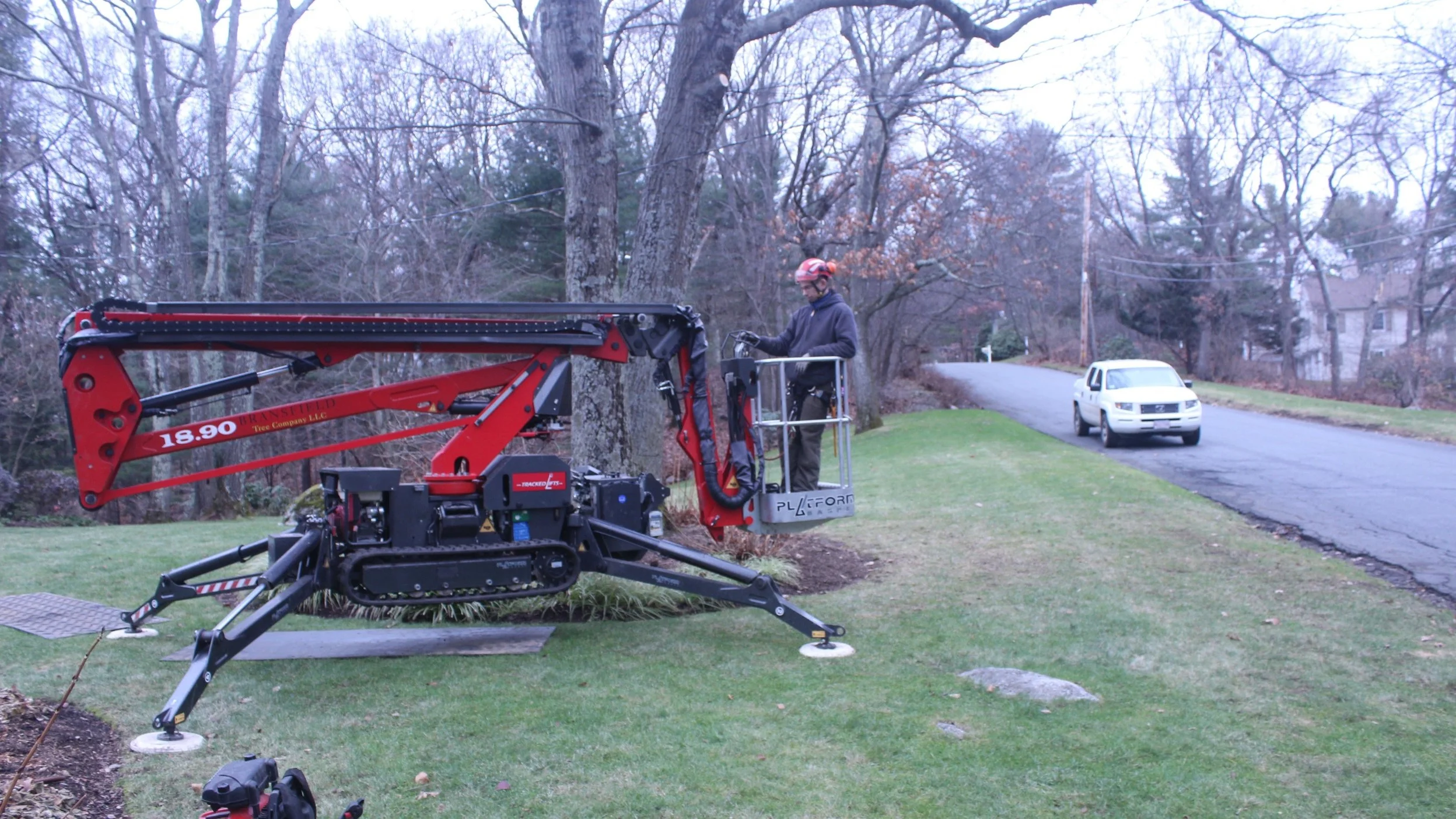 Dashboard — BRANSFIELD TREE