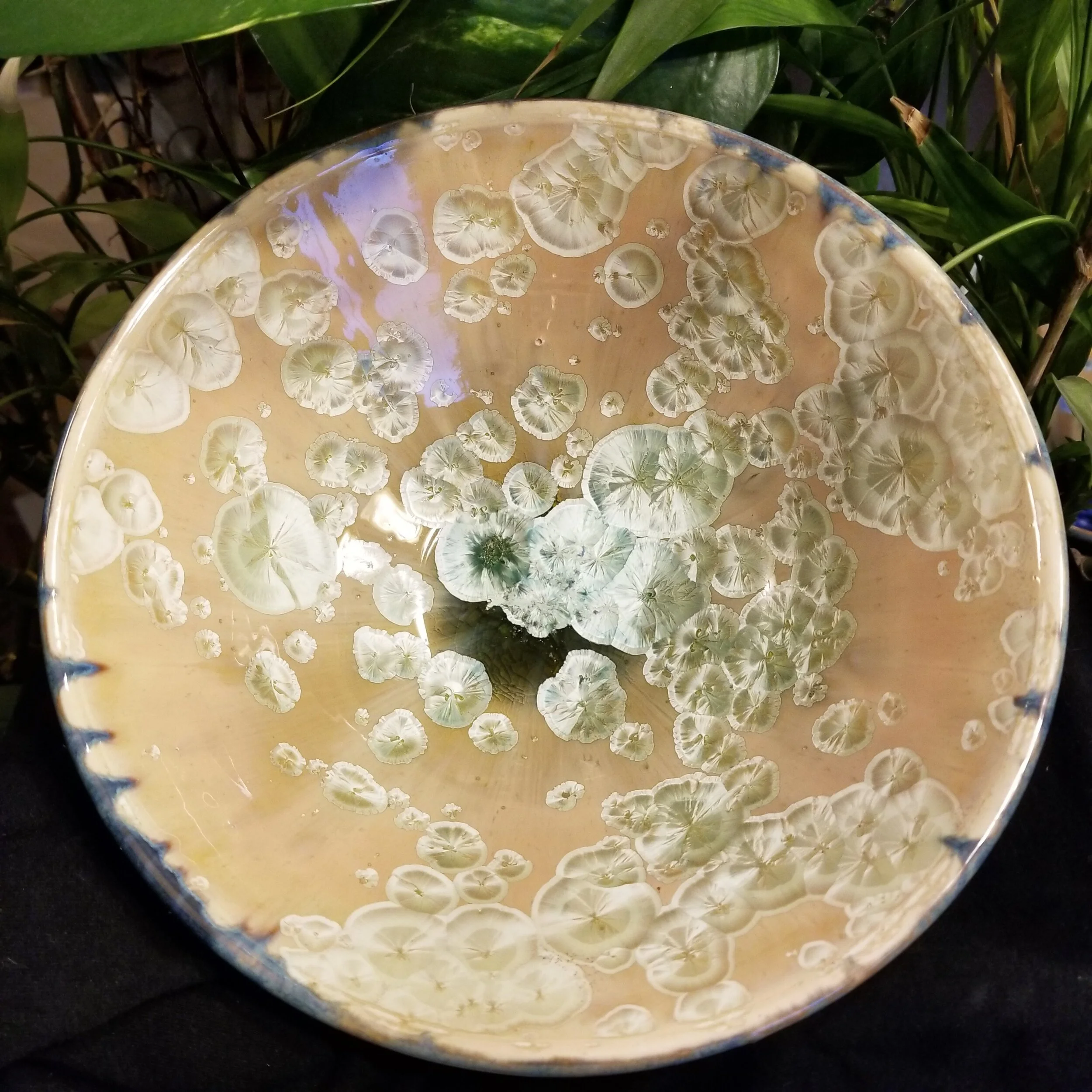 Fired Earth Pottery
