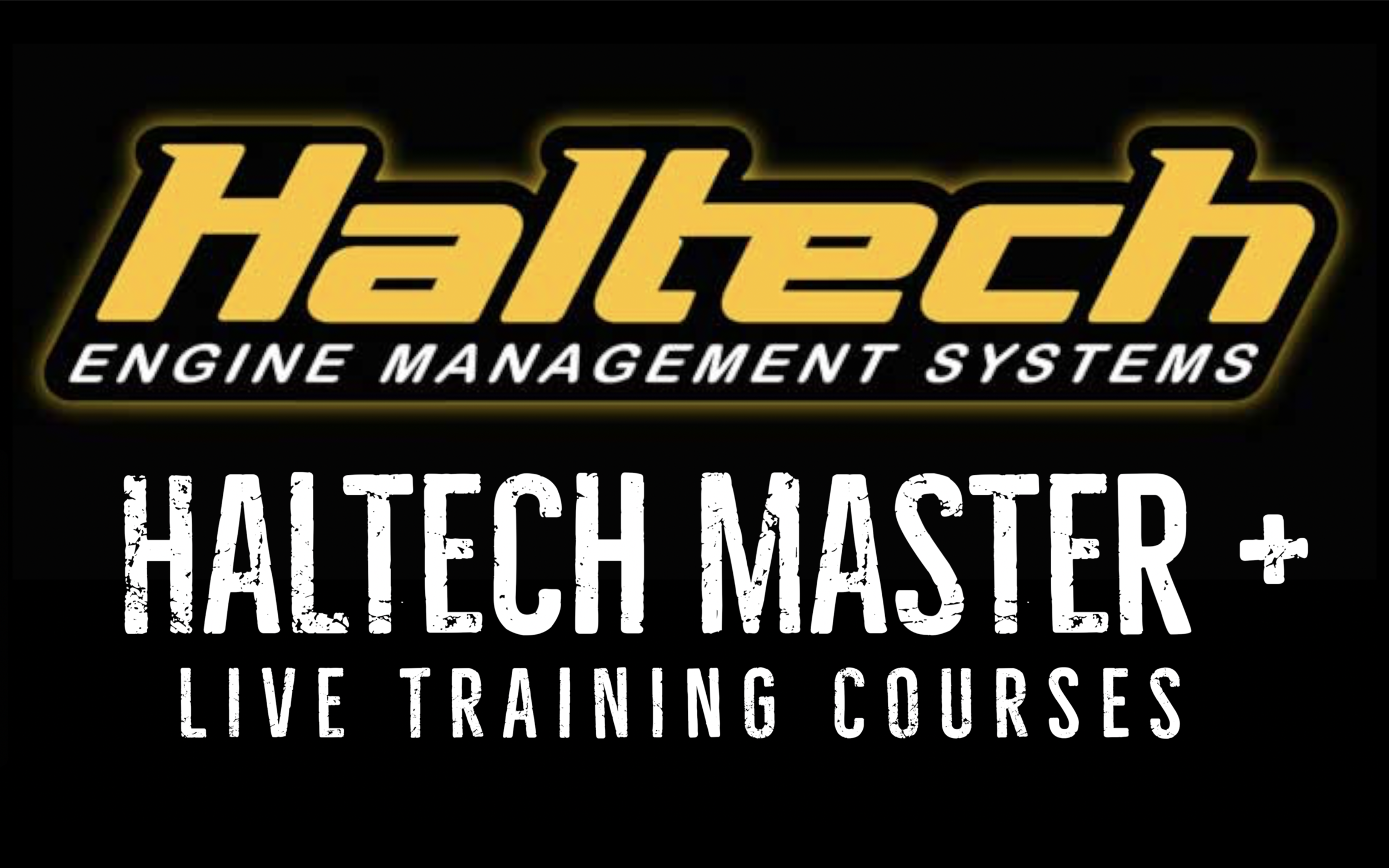 Learn how to tune Haltech Elite! — Evans Performance Academy