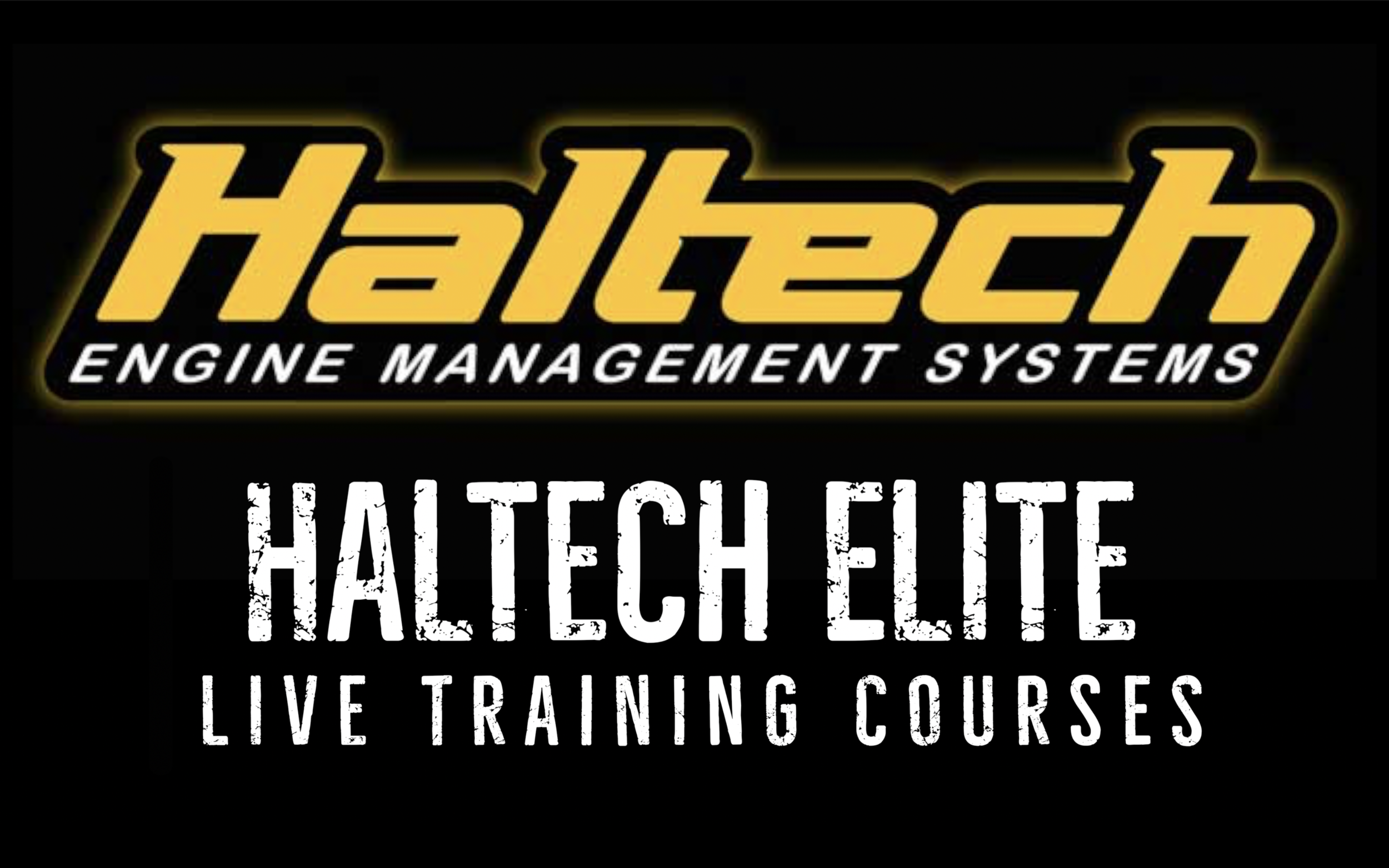 Learn how to tune Haltech Elite! — Evans Performance Academy